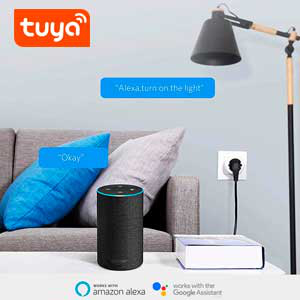 Dedeman - Priza smart / inteligenta Smarthome PNI-WP800, Wi-Fi, cu ...
